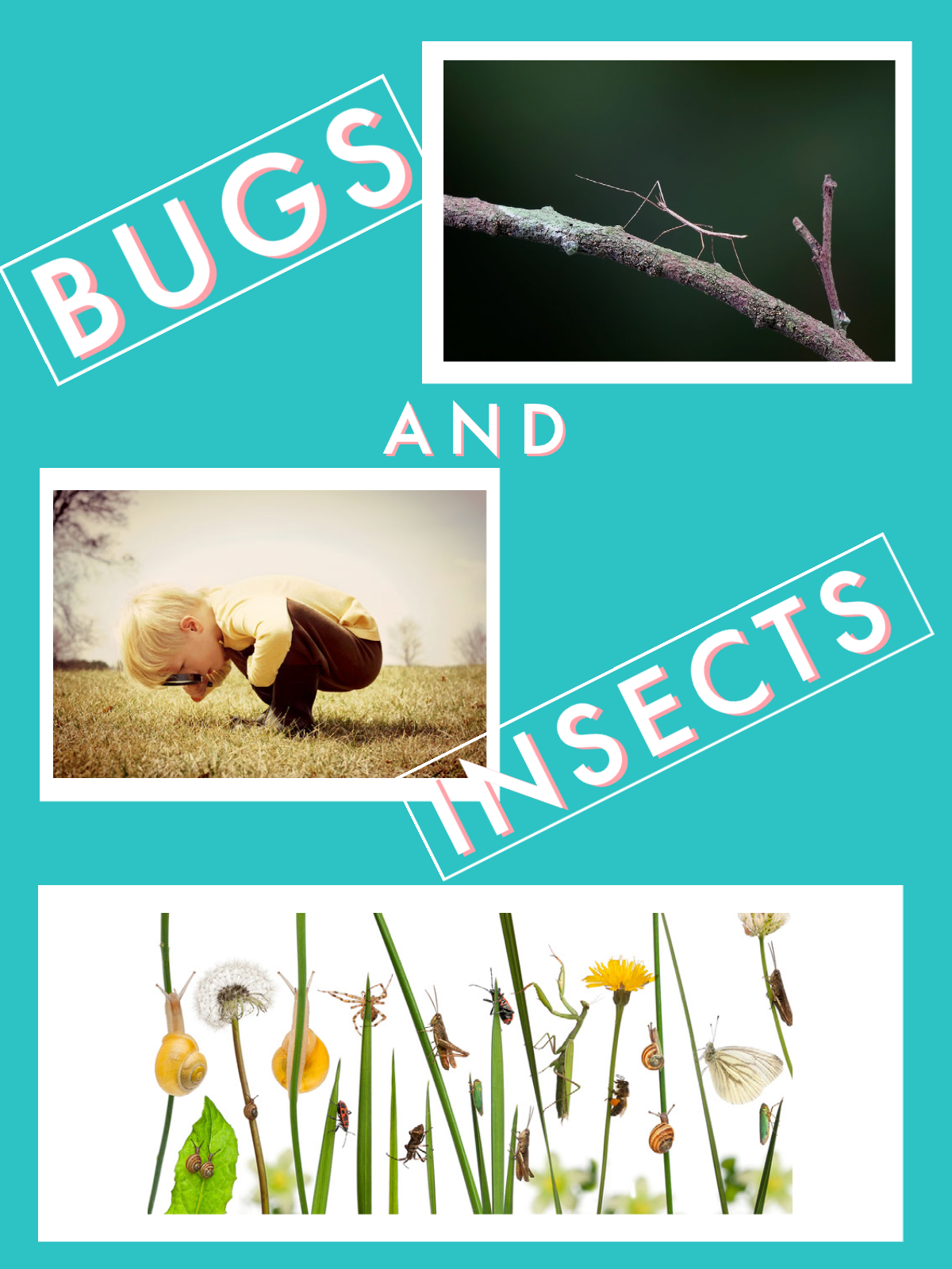 Butterfly Preschool Activities - Teaching the TOT Flock