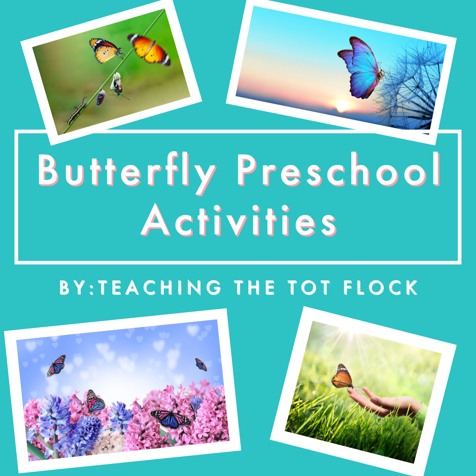 Butterfly Preschool Activities - Teaching the TOT Flock